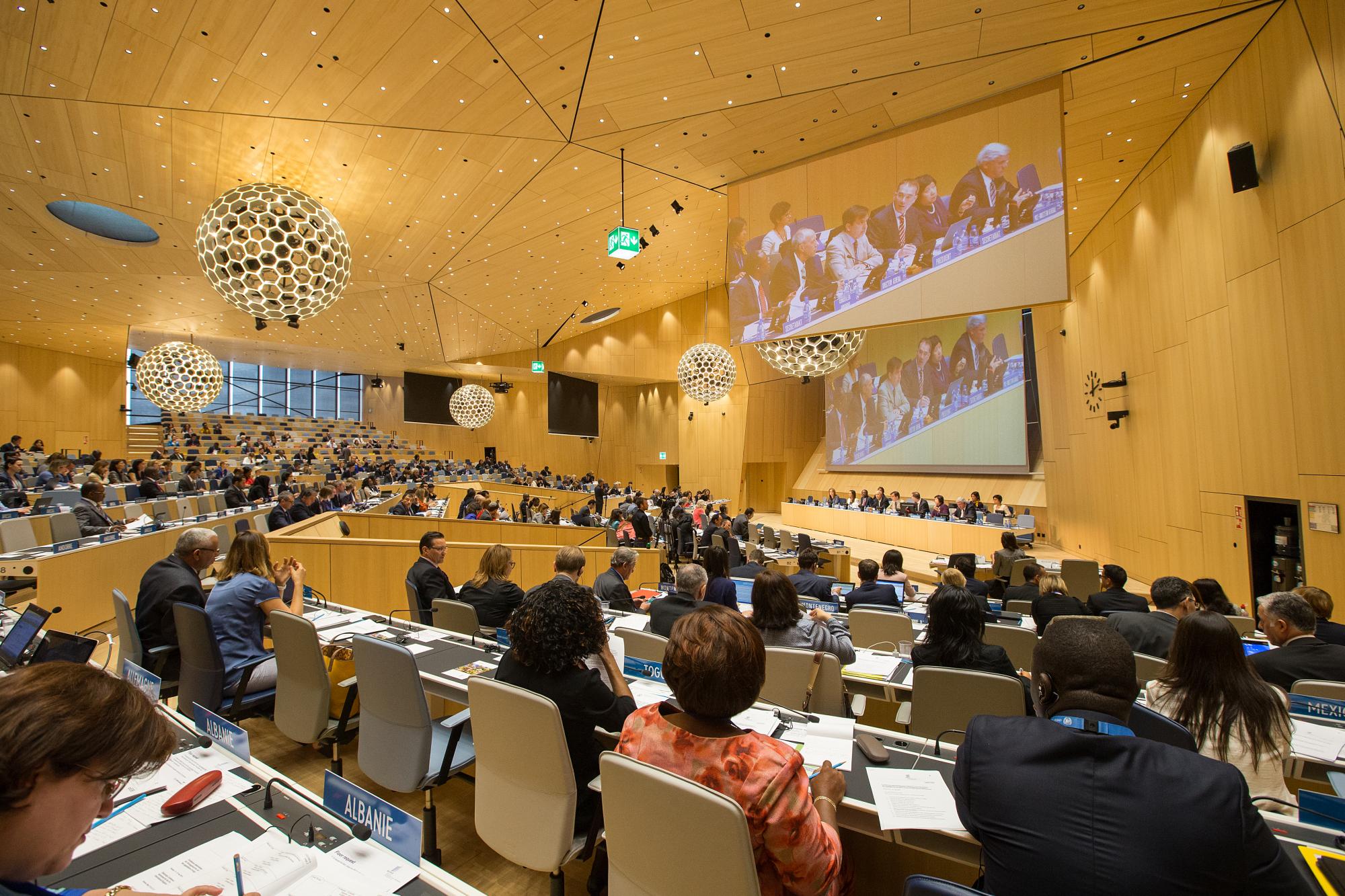 WIPO' Diplomatic Conference on Appellations of Origin and Geographical ...